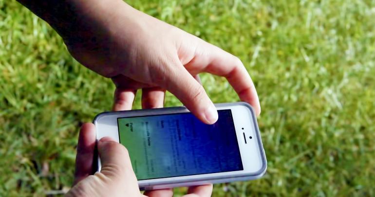 Haute-Garonne - L'opérateur éco-responsable Mon Mobile Pro vise les 80 ...